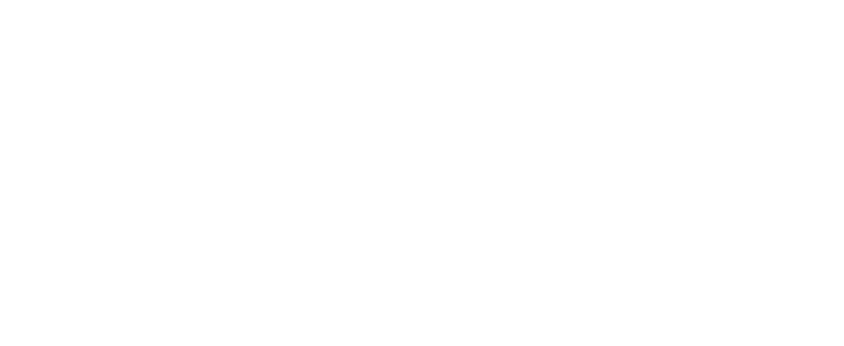 Prima Home Security Alarm System by Napco